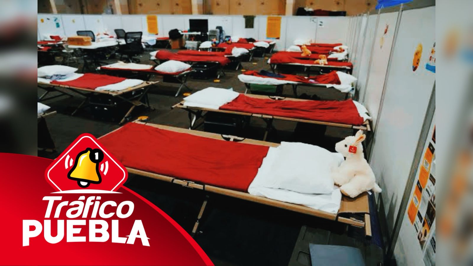 Se sigue avanzando en la Casa de Representación de los Migrantes