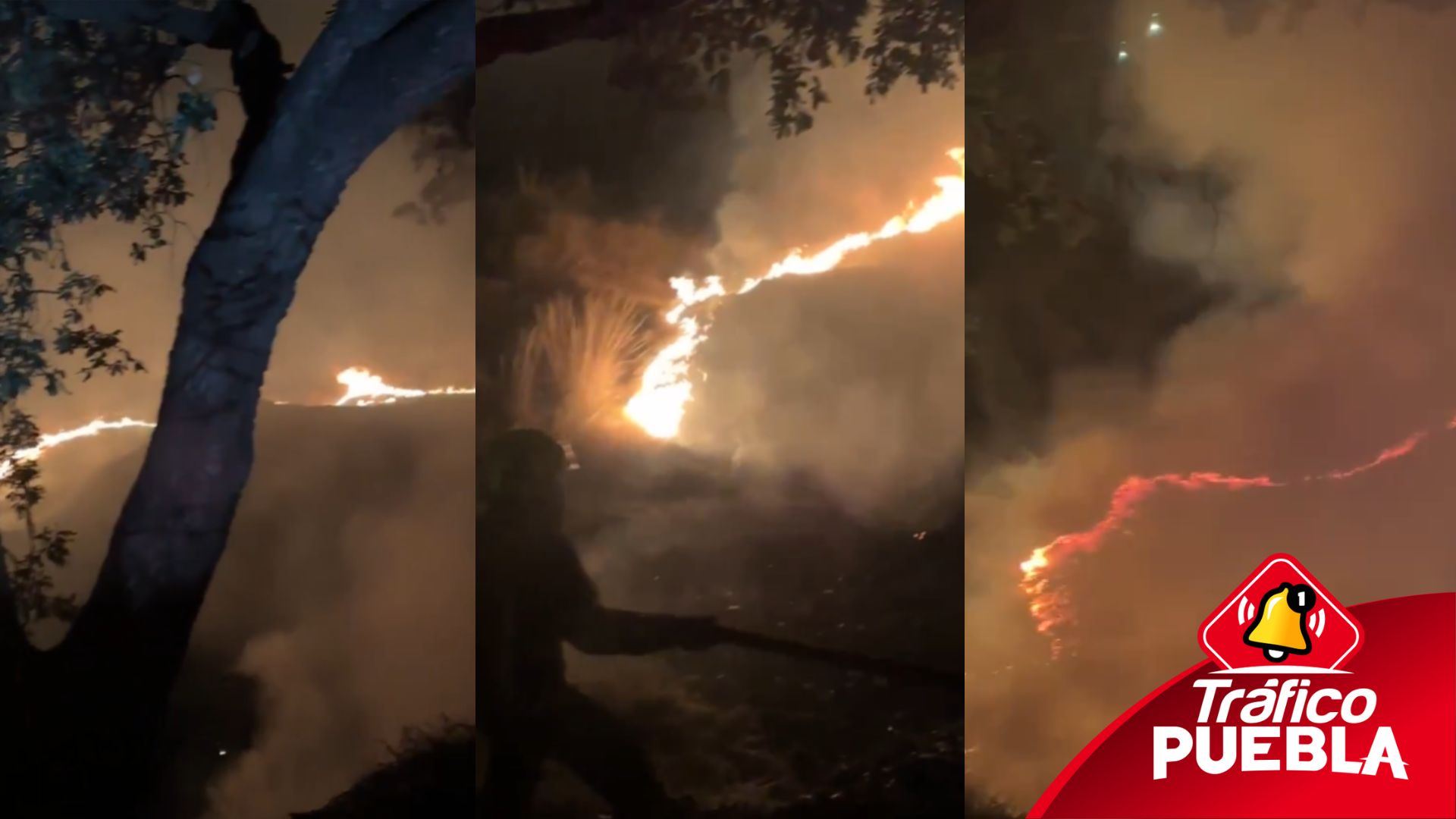 Protección Civil sofocó un incendio en Bosques de San Sebastián