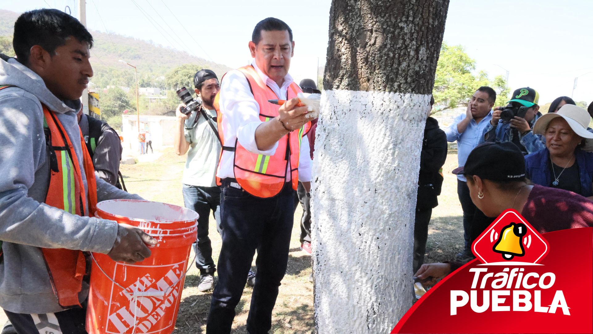 Aprueban reformas para el cuidado técnico del arbolado urbano en Puebla